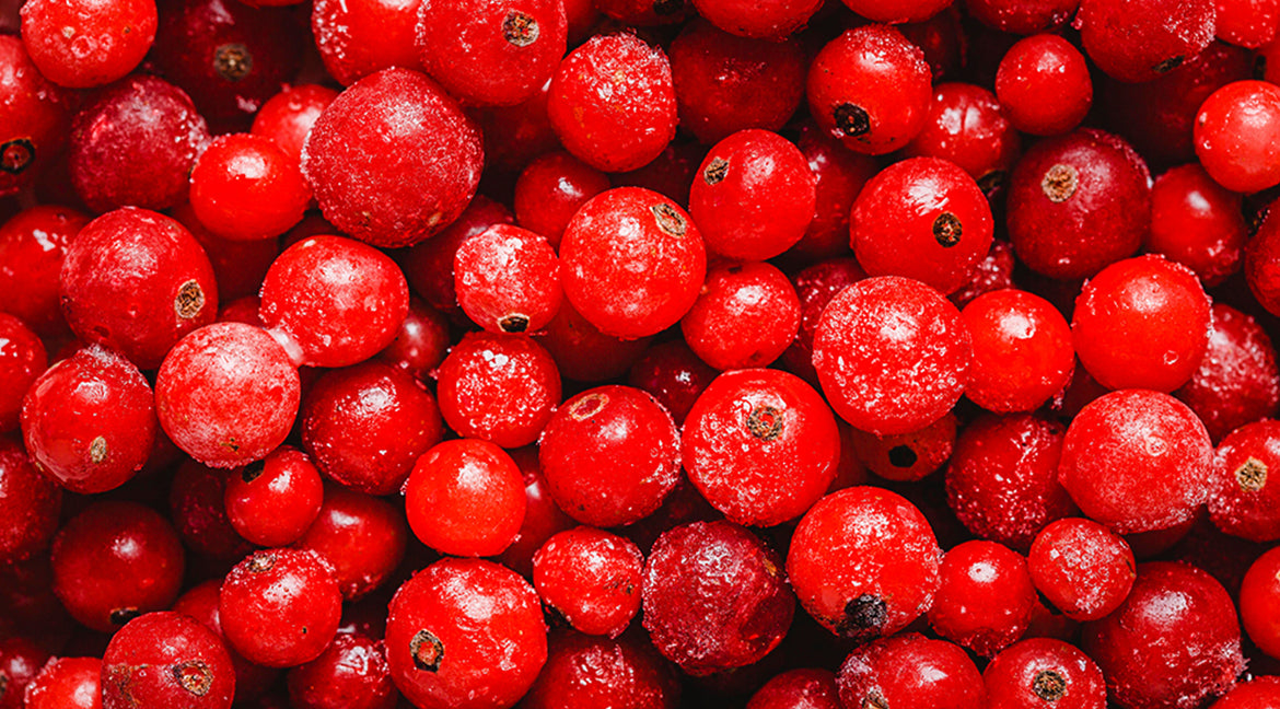 Hundred Years Imported Cranberries: Nature's Juicy Delight for the Mod ...